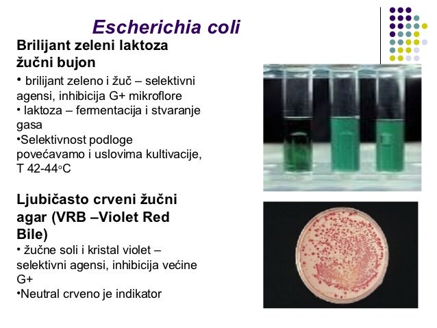 5hranjive Podloge Koje Se Koriste U Izolaciji I