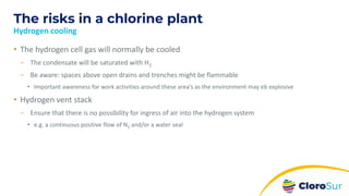 5-Hydrogen-safety-in-Chlor-alkalil-TON-Manders.pdf