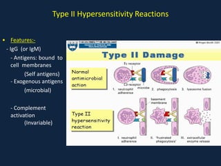 5-Hypersensitivity. immunology course department of pathology | PDF