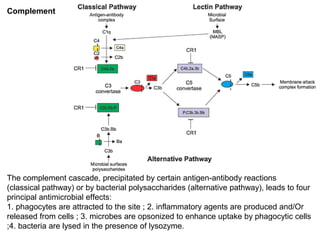 5 immune defense against bacterial pathogens | PPT