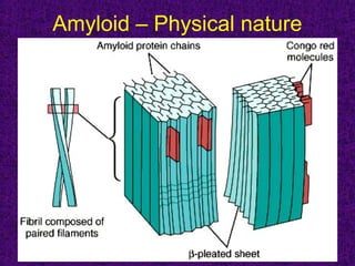Beta Pleated Sheet Amyloid