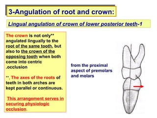 indirect factors and their significeance in protection of periodontium ...