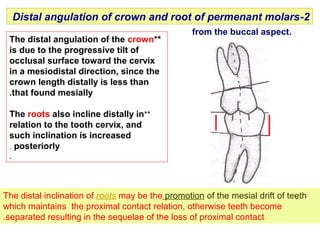 indirect factors and their significeance in protection of periodontium ...