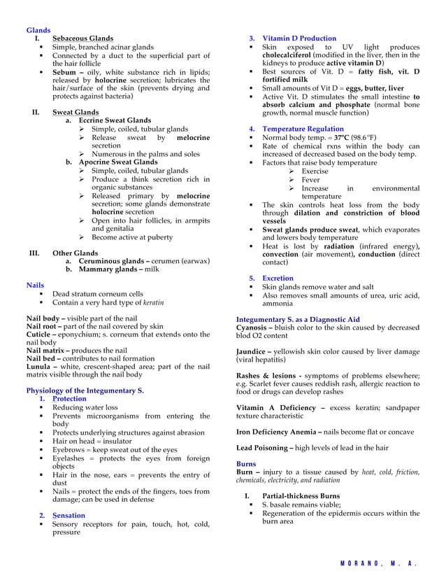integumentary-system | PDF | Skin and Dermatology | Diseases and Conditions