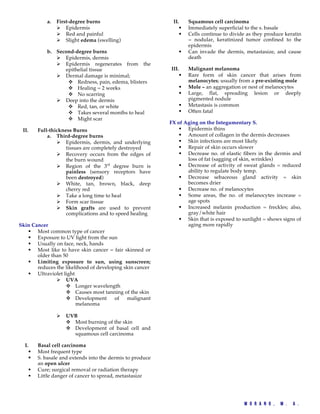 integumentary-system | PDF | Skin and Dermatology | Diseases and Conditions
