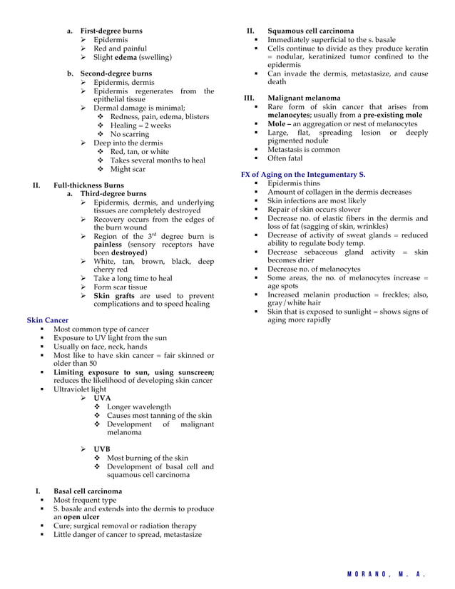 integumentary-system | PDF | Skin and Dermatology | Diseases and Conditions