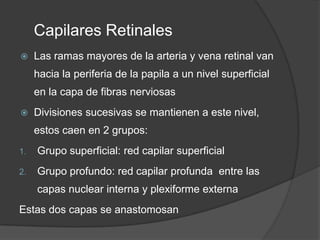 5. irrigación de la retina | PPTX
