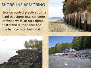 Jason Toft and Megan Dethier, Shoreline armoring data | PPT
