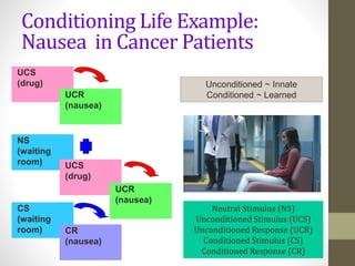 Learning Theory | PPT