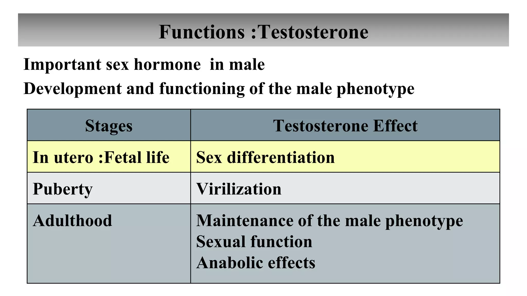 lecture 45 Endocrine functions of the testis 2021 | PPTX