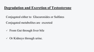 lecture 45 Endocrine functions of the testis 2021 | PPTX