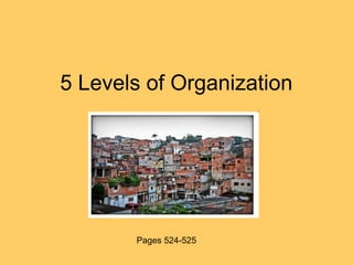 5 levels-of-organization | PPT