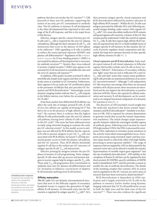 5 linfócitos b | PDF