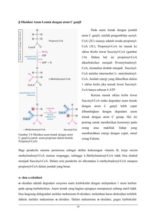 5 lipid | PDF