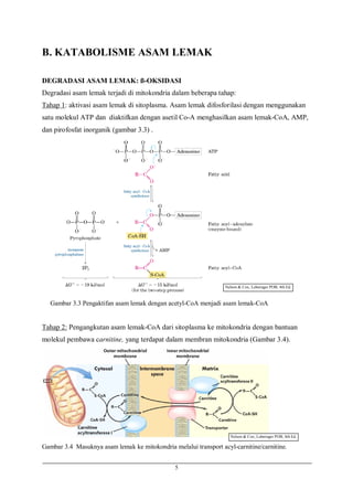 5 lipid | PDF