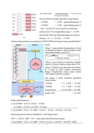 5 lipid | PDF