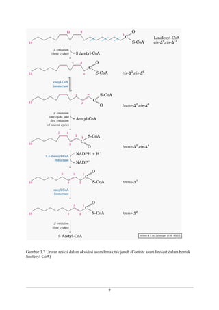 5 lipid | PDF