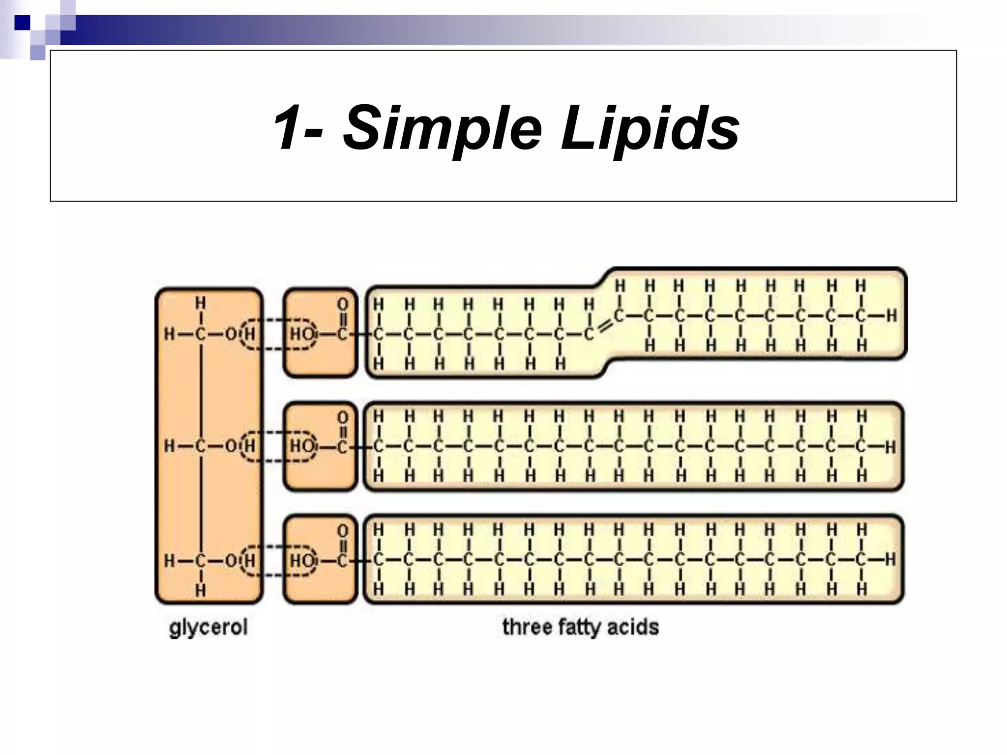 5-lipids chemistry (1).ppt
