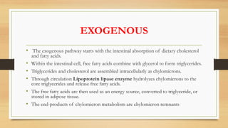 5- Lipoprotein metabolism and disorders Prof. Dr. Gül Nihal Özdemir.pdf