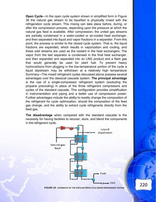 5- liquifaction.pdf