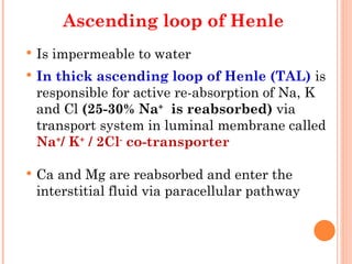 5-loop diuretics (1).ppt77777777777777777 | PPT