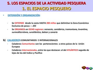 5 Los Espacios De La Actividad Pesquera | PPT