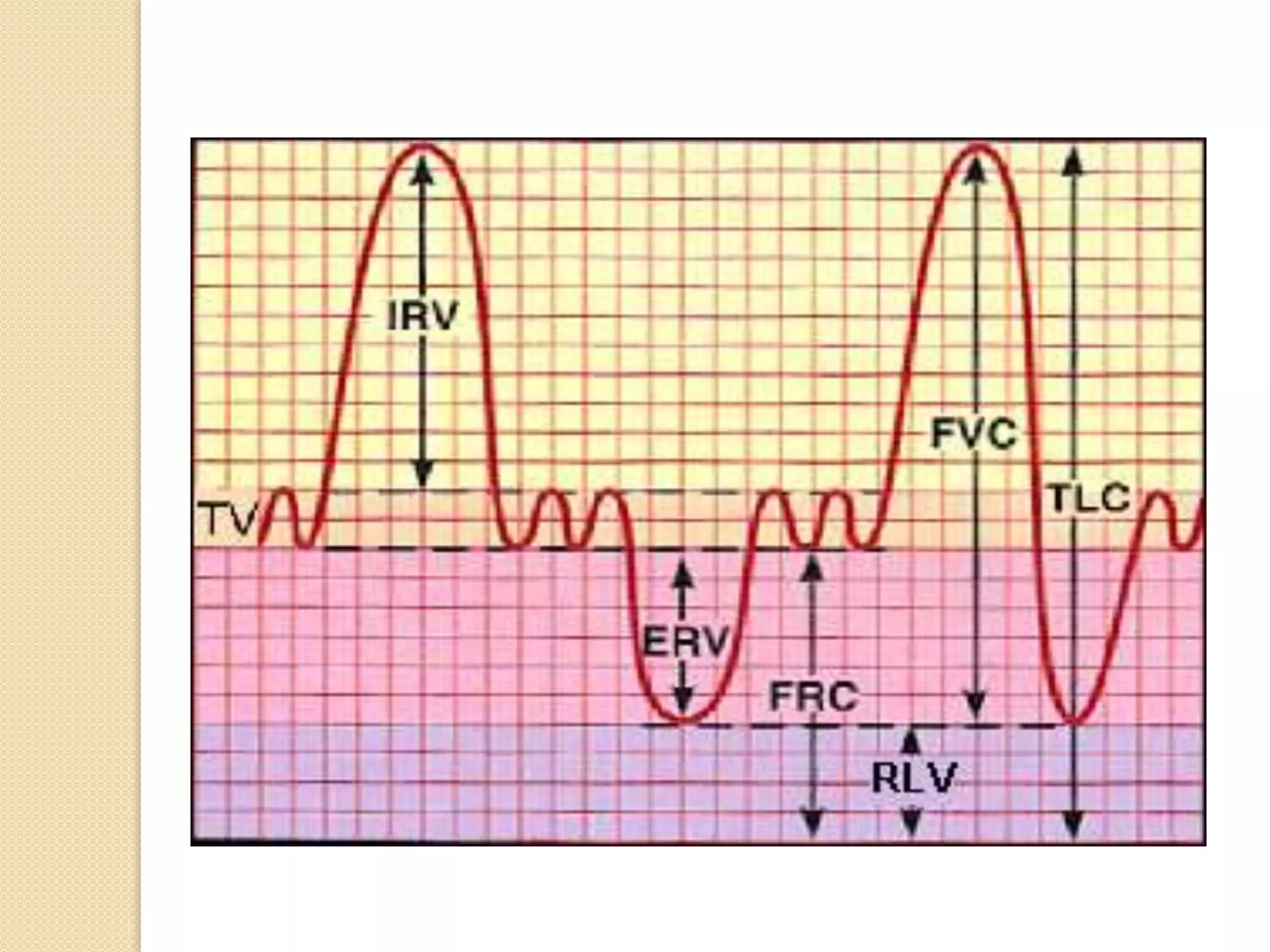 5- Lung volumes.pptx
