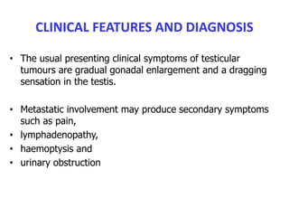 LOWER URINARY TRACT & MALE GENITAL SYSTEM | PPTX