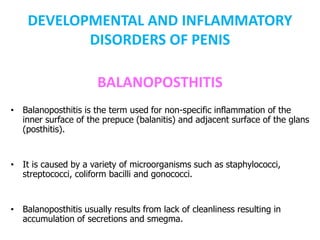 MALE GENITAL SYSTEM - TESTICULAR TUMOURS | PPTX