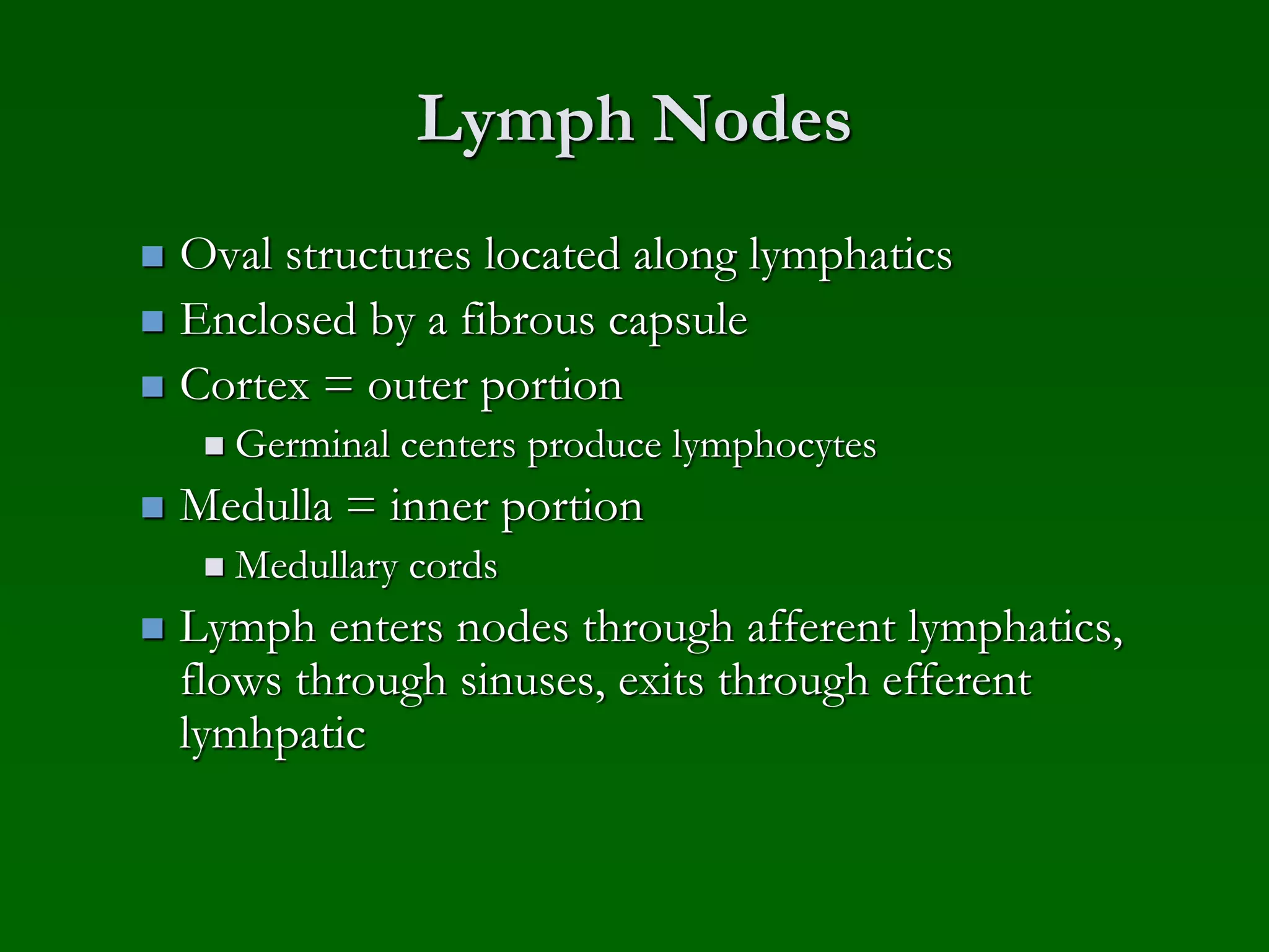 lymphatic system Histology | PPT
