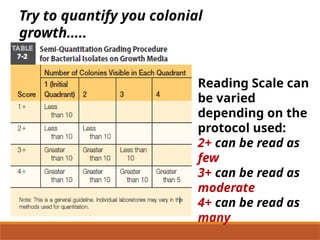 Colonial Examination of Bacterial Isolates | PPTX