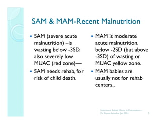 Declining Child Malnutrition in Maharashtra-5 The Rehab efforts | PDF
