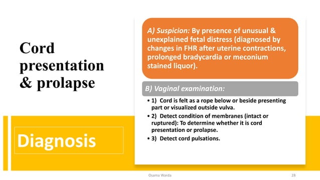 5 malpresentations.warda (5) SHOULDER COMPLEX CORD | PPT