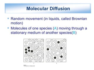 5-Mass Transfer(Ch8).pdf
