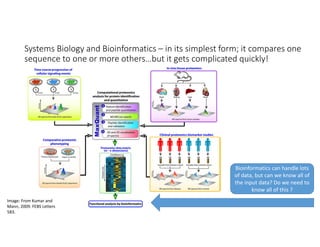 Bioinformatics: Building the cornerstones of Sequence Homology and its ...