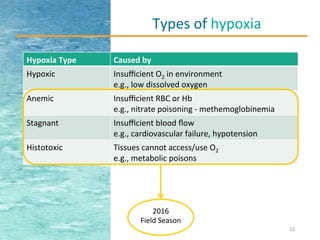 Jen McIntyre, New science documenting toxic impacts on salmon and other ...