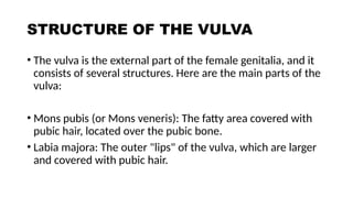 5-MEDIA A MICRO TEACHING .pptx