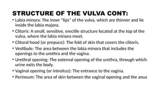 5-MEDIA A MICRO TEACHING .pptx