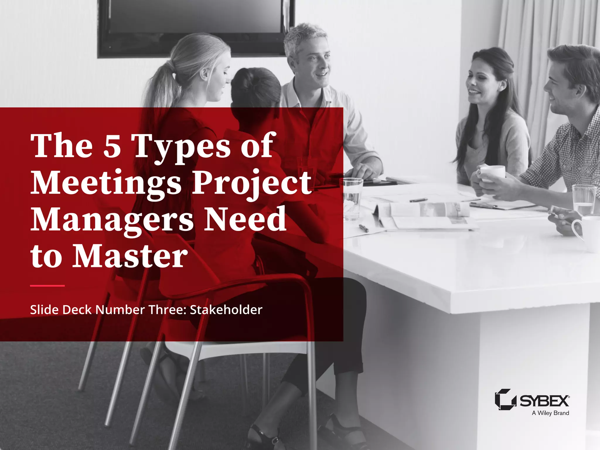 The 5 Types of Meetings Project Managers Need to Master-Slide Deck ...