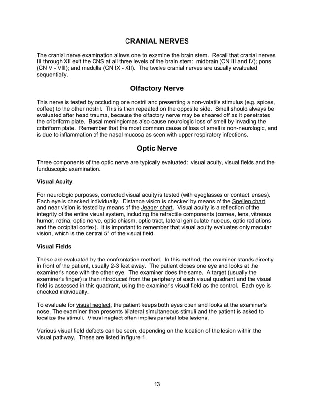 5 minute-neuro-exam-handout | PDF | Brain and Nervous System Disorders ...