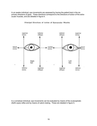 5 minute-neuro-exam-handout | PDF