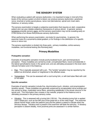 5 minute-neuro-exam-handout | PDF