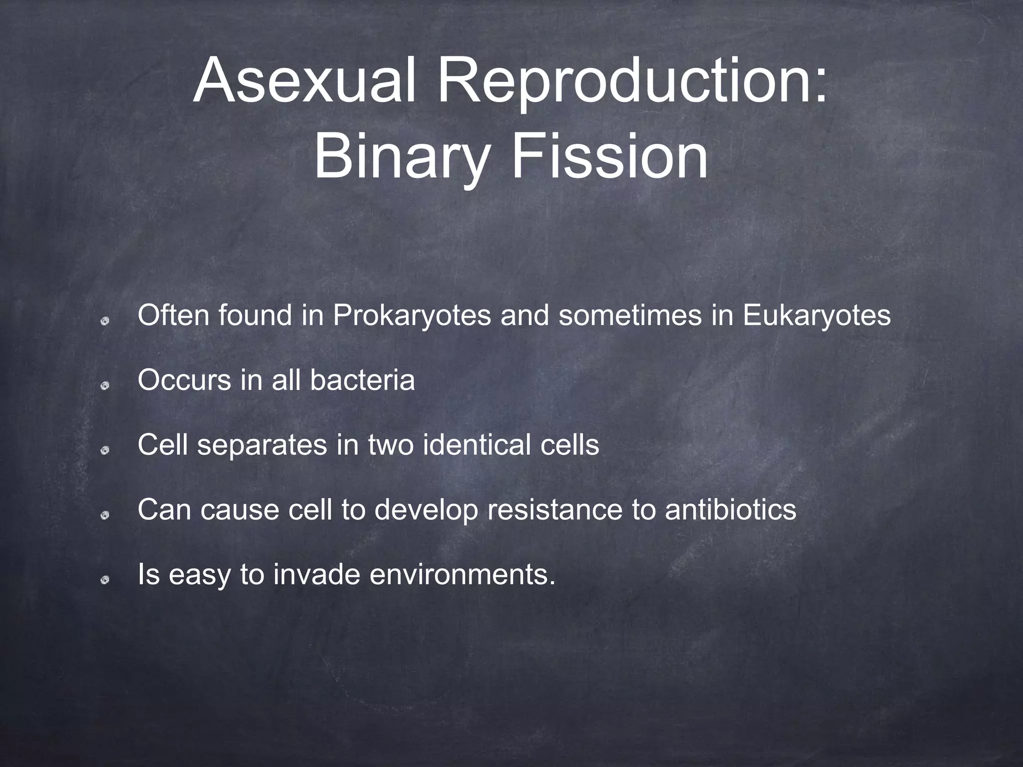 Mitosis vs. Meiosis vs. Binary Fission Powerpoint 5 - Hira Zahid | PPTX