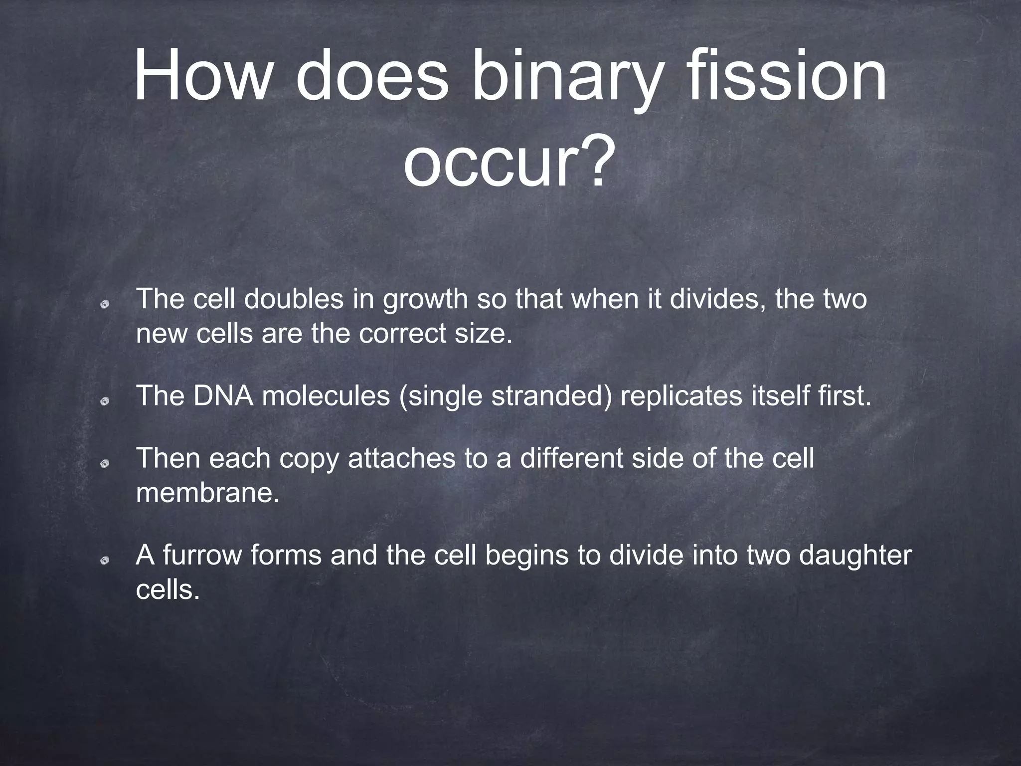 Mitosis vs. Meiosis vs. Binary Fission Powerpoint 5 - Hira Zahid | PPT