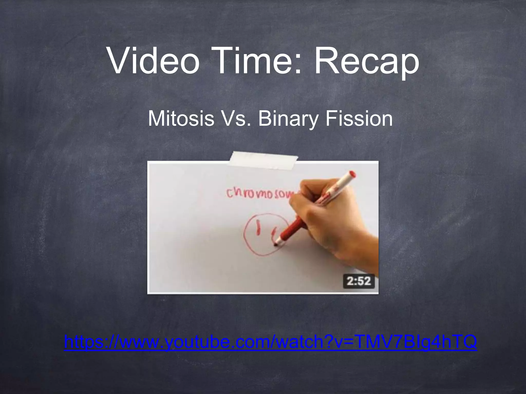 Mitosis vs. Meiosis vs. Binary Fission Powerpoint 5 - Hira Zahid | PPT