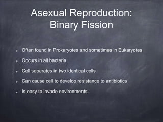 Mitosis vs. Meiosis vs. Binary Fission Powerpoint 5 - Hira Zahid | PPT