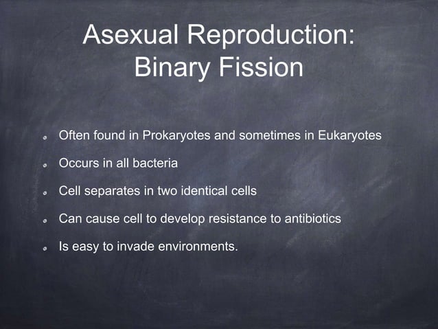 Mitosis vs. Meiosis vs. Binary Fission Powerpoint 5 - Hira Zahid | PPT