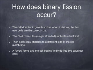 Mitosis vs. Meiosis vs. Binary Fission Powerpoint 5 - Hira Zahid | PPT