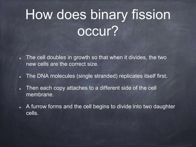 Mitosis vs. Meiosis vs. Binary Fission Powerpoint 5 - Hira Zahid | PPT