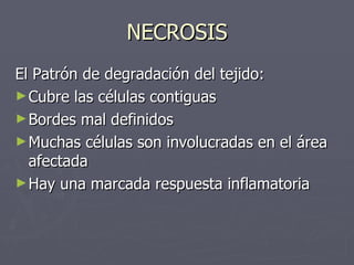 Necrosis | PPT